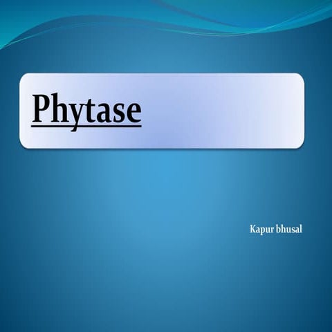Phytase presentation a | PPTX