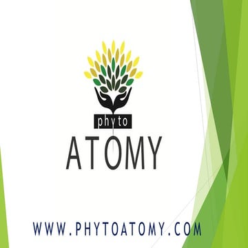 Phyto-Atomy-Business-Plan | PDF