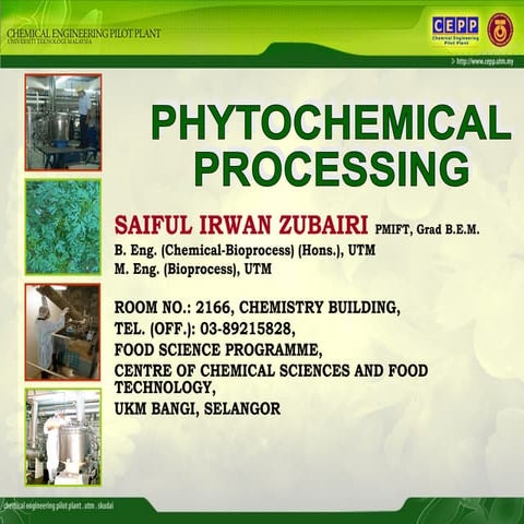 phyto-processing-1277037611-phpapp01.ppt