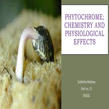 phytochrome.pptx
