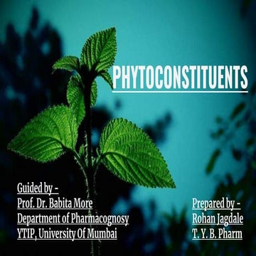 Phytoconstituents pharmacognosy | PPTX