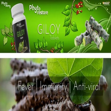 Phyto Essential Giloy 60 Tablets by Phyto Atomy.pdf