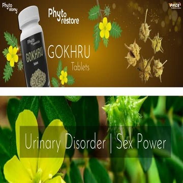 Phyto Essential Gokhru 60 Tablets by Phyto Atomy.pdf