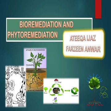 Bioremediation And Phytoremediation Recent Applications Of