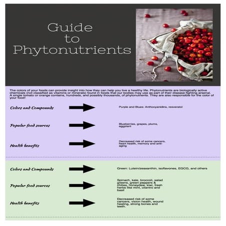 Guide to Phytonutrients | PDF