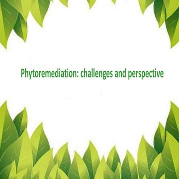 Phytoremediation | PPT