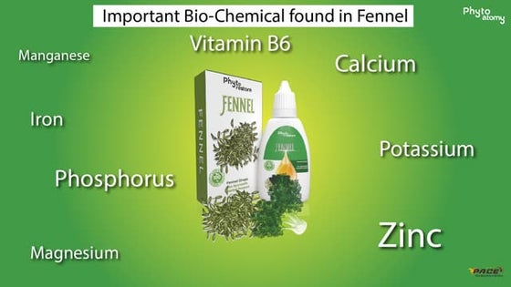 phyto atomy D-TAN LOTION with white lotus and saffron | PDF