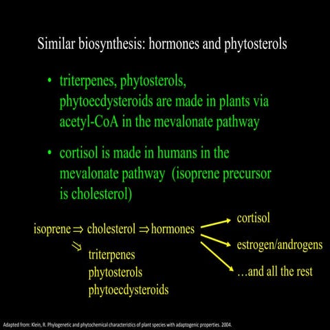 Phytosterol Biosynthesis | PPT