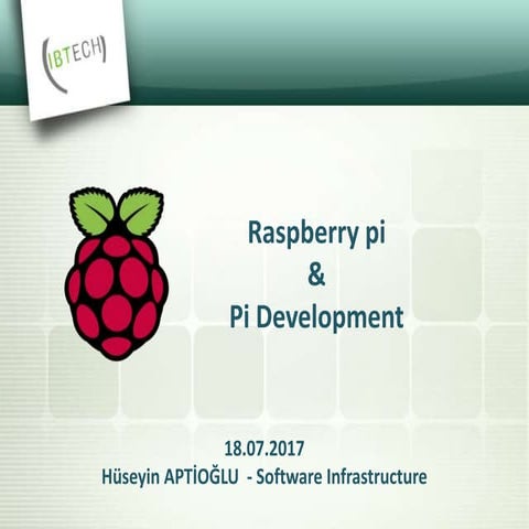 Raspberry pi