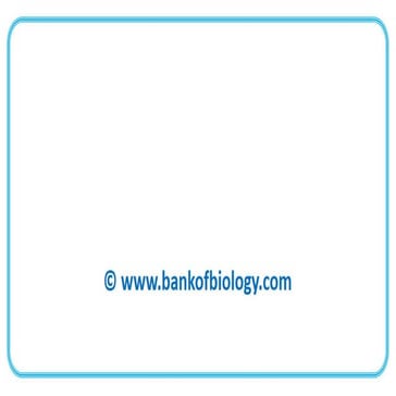 Pi7_Tool_11-12 Biotechnology principles n processes ppt part 1.pdf