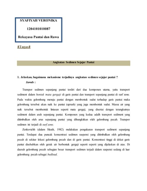 Identifikasi batuan beku | PDF