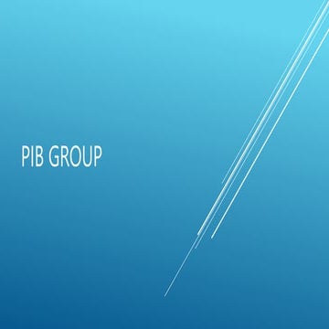 PIB Group.pptx