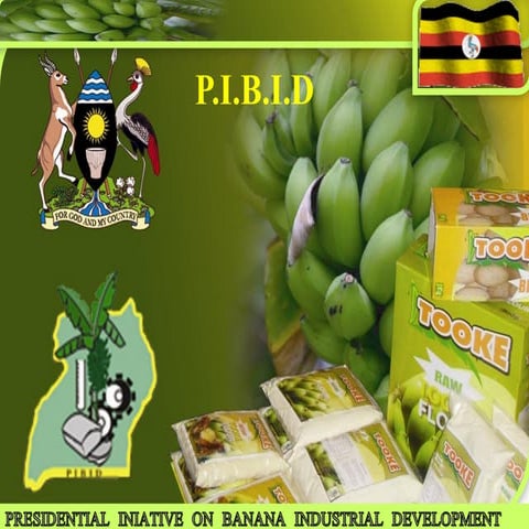 Pibid background as presented by eng kibuuka ssempebwa r | PDF