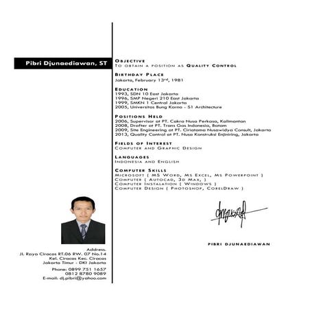 Pibri dj cv | PDF