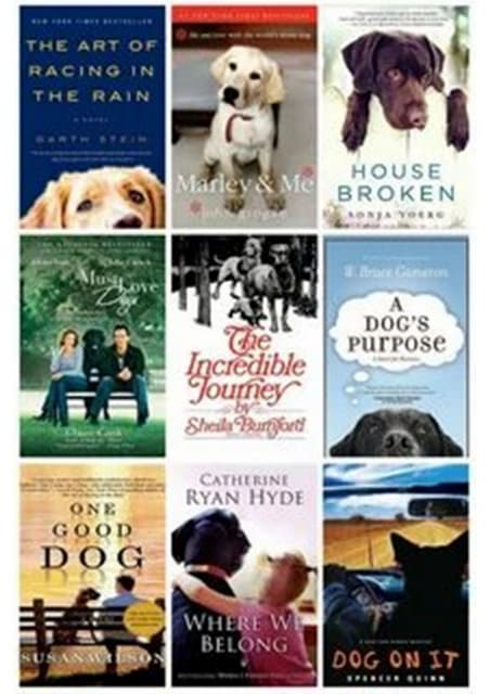 Dragon Ball Super, Vol. 12: Meru's True Identity | PDF