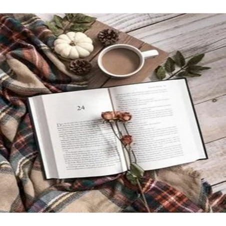 Rand McNally 2021 Easyfinder Midsize Road Atlas | PDF | Geography | Science