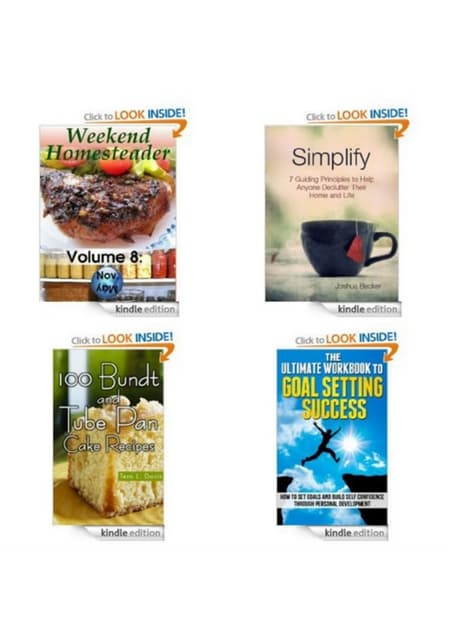 Personal Size Giant Print Reference Bible-KJV | PDF