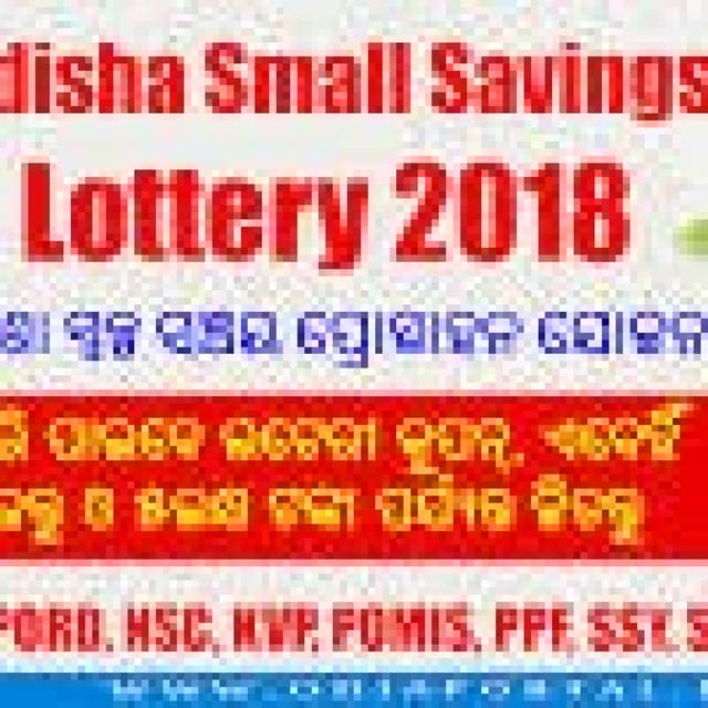 Noodle and the No Bones Day | PDF