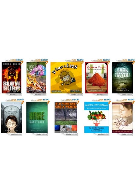 Where's Bluey?: A Search-And-Find Book | PDF