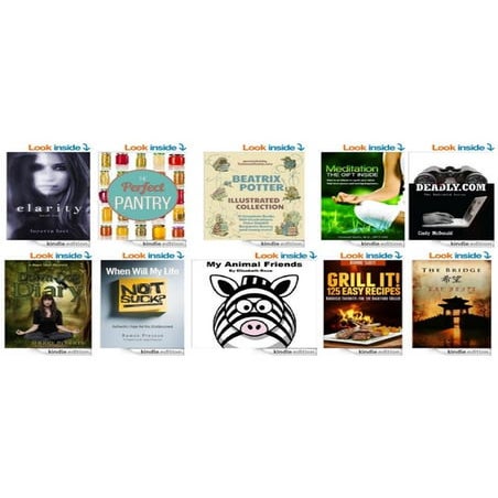 Self-Publisher's Legal Handbook: Updated Guide to Protecting Your ...