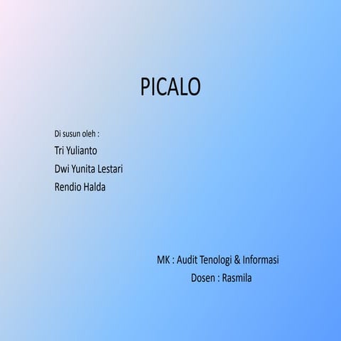 Picalo Tool Audit | PPTX