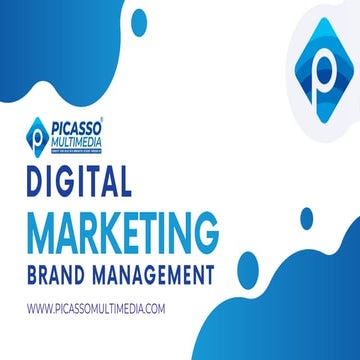 Picasso Work Road Map (Brand Management).pdf