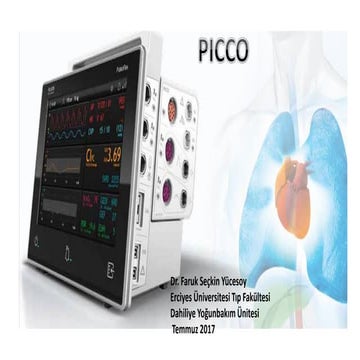 Picco | PDF