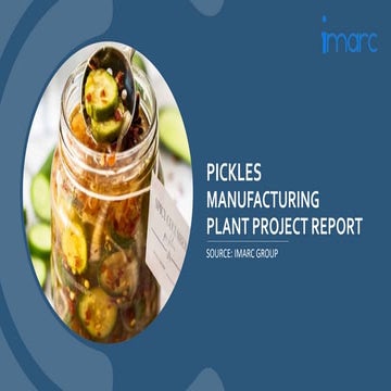 Pickles Manufacturing Plant Project Report.pptx