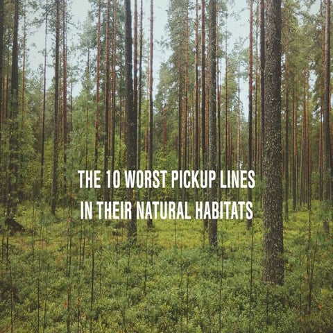 The 10 Worst Pickup Lines In Their Natural Habitat | PDF