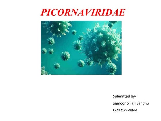 Proteus Spp Lecture Ppt