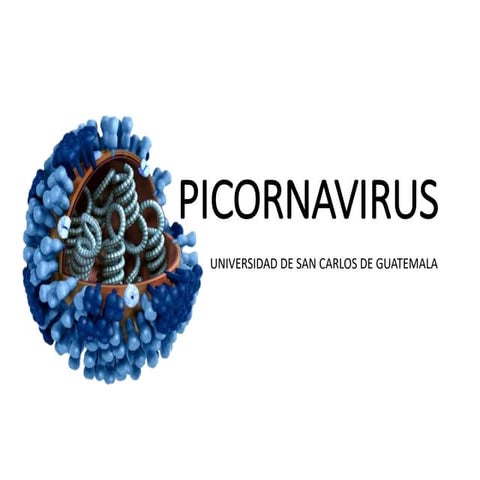 PICORNAVIRUS.pptx