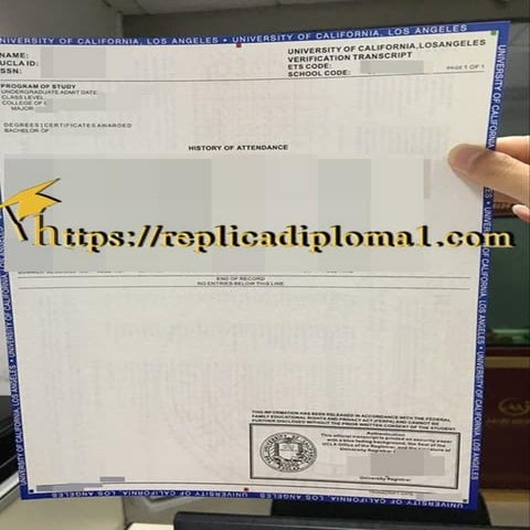 Buy Fake UCLA (University of California, Los Angeles) Official ...