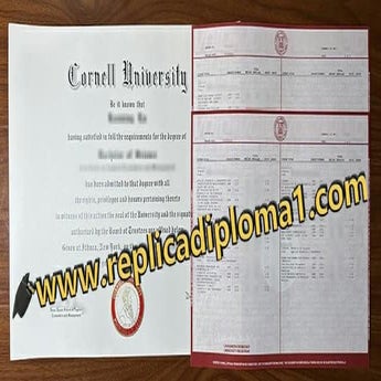 Is it possible to buy a fake Cornell University degree and transcript ...