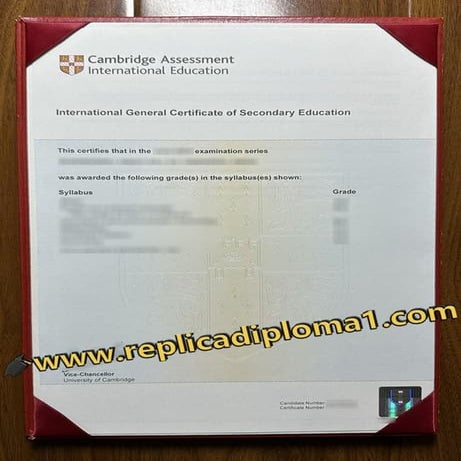 The best reasons to make a Cambridge IGCSE certificate online. | PDF