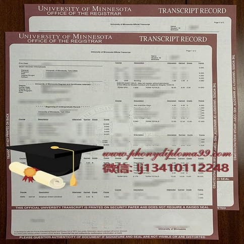 How to create a 100% copy University of Minnesota transcript quickly? | PDF