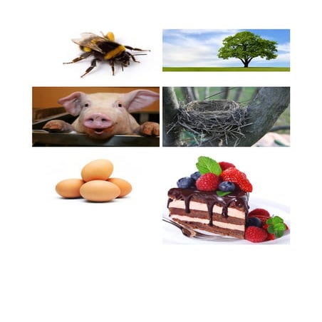 Pictures to practise words from Fat Cat on a Mat Phonic Story | PDF