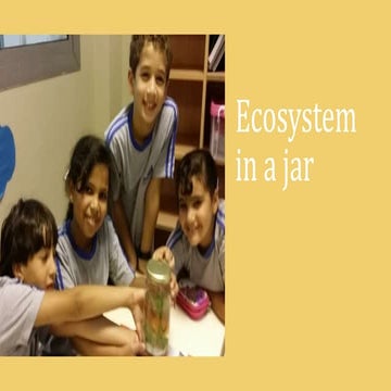 Ecosystem in a jar | PPT