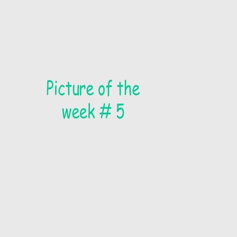 Picture week # 5 | PPT
