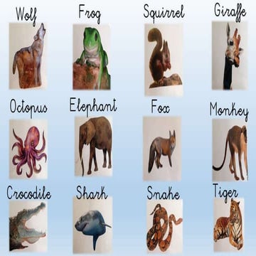 Picture dictionary Unit 5 Animals | PPTX
