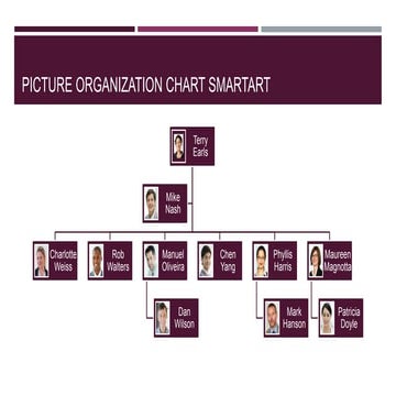 Picture organization chart smart art | PPTX