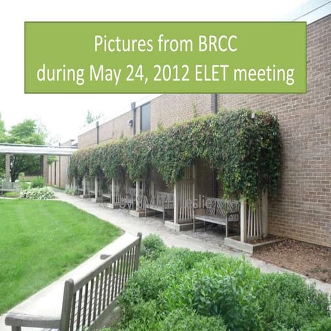 Pictures from BRCC | PPTX