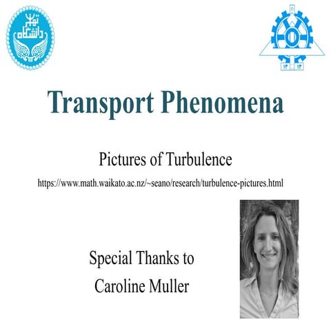 Pictures of Turbulence-Advanced Fluid Mechanics | PDF