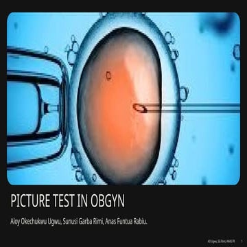 Organizational Structures in Private, Non-Profit, and Governmental ...