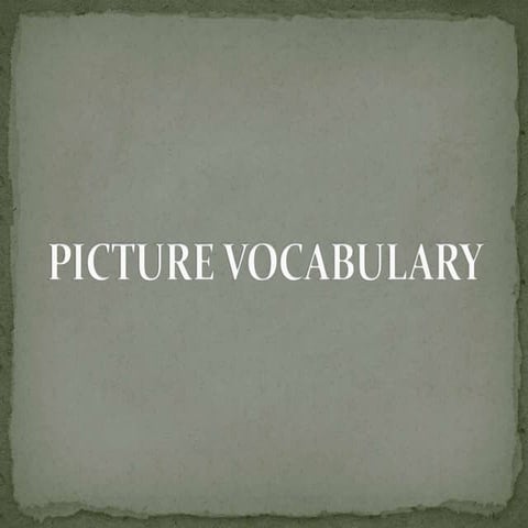 Picture vocabulary | PPTX