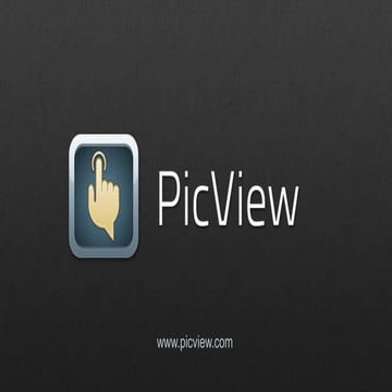 PicView | PPT