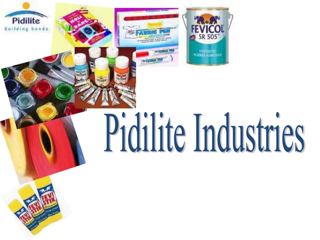 Pidilite Ltd. | DOC