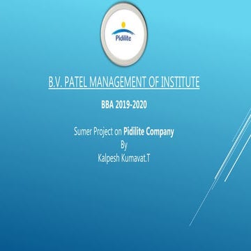 Pidilite Company | PPTX