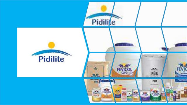 Bond with pidilite case study 1 | PDF
