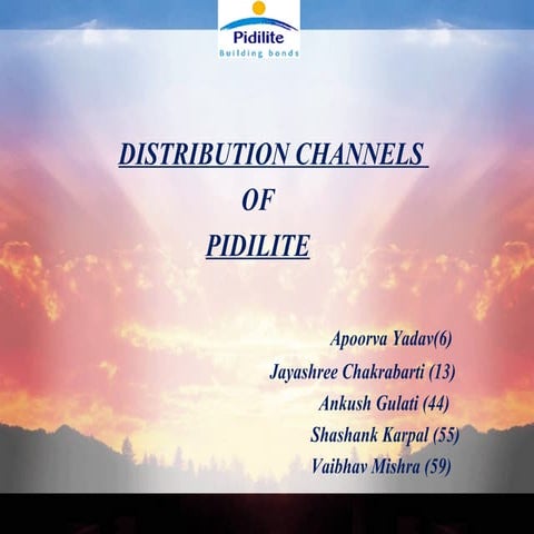 Pidilite Channelmgmt | PPT