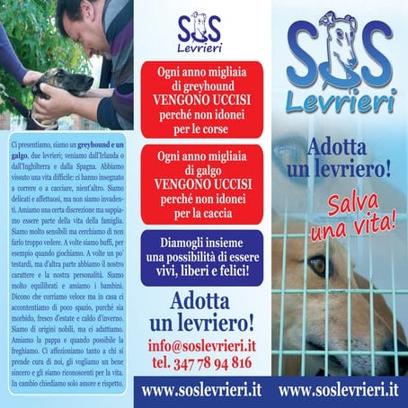 Brochure Ufficiale SOS Levrieri | PDF
